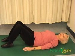 Back Muscle Exercise for Seniors and the Elderly | ELDERGYM®