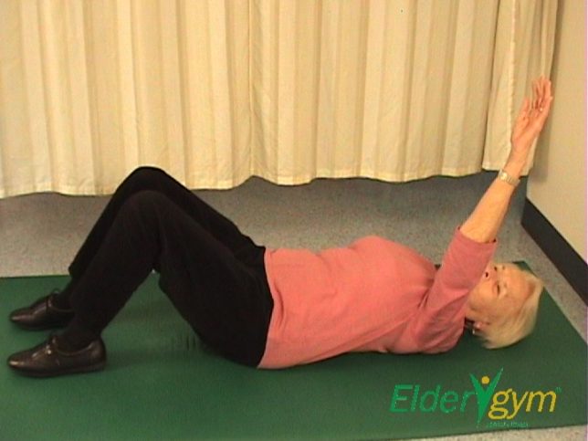 Back Muscle Exercise for Seniors and the Elderly | ELDERGYM®
