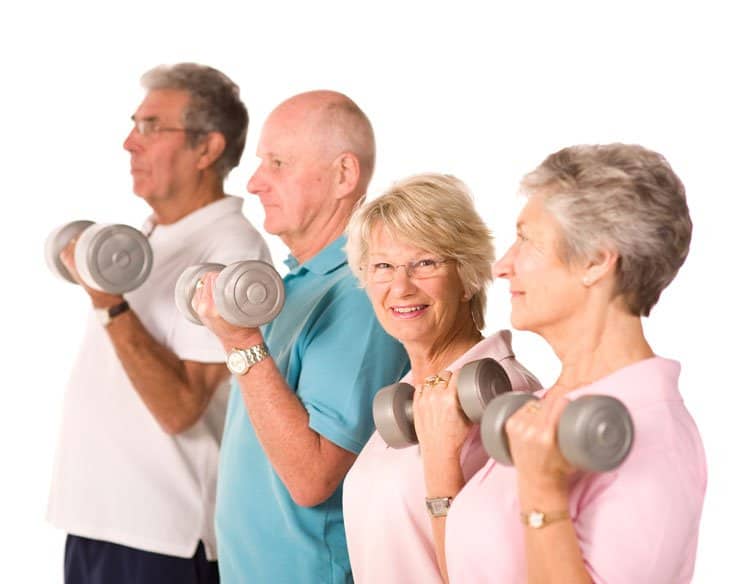 Elderly Strength Training And Exercises For Seniors ELDERGYM 