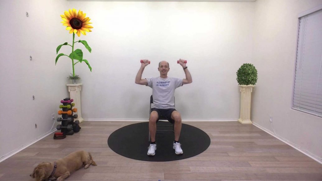 Arm Workouts With Weights for Seniors | ELDERGYM®